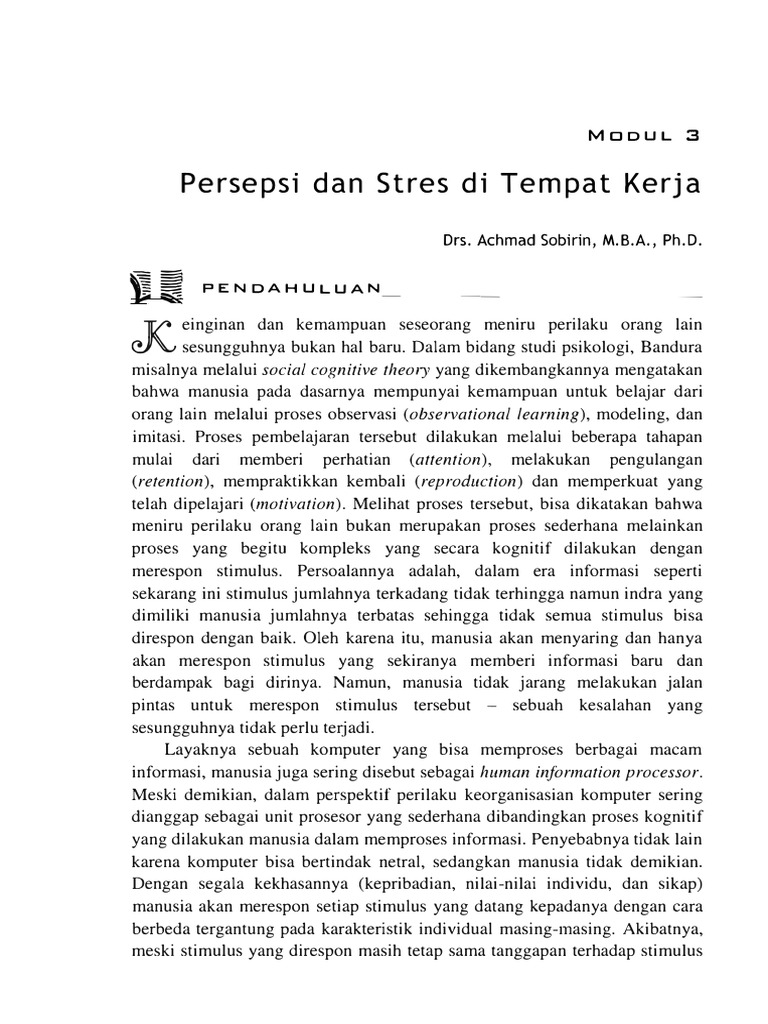 Persepsi Dan Stress Di Tempat Kerja | PDF