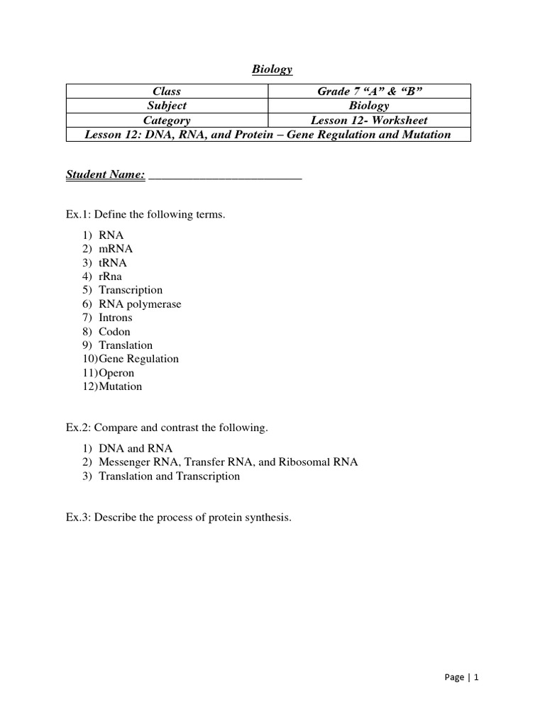 Lesson 12 - Worksheet PDF | PDF | Rna | Translation (Biology)