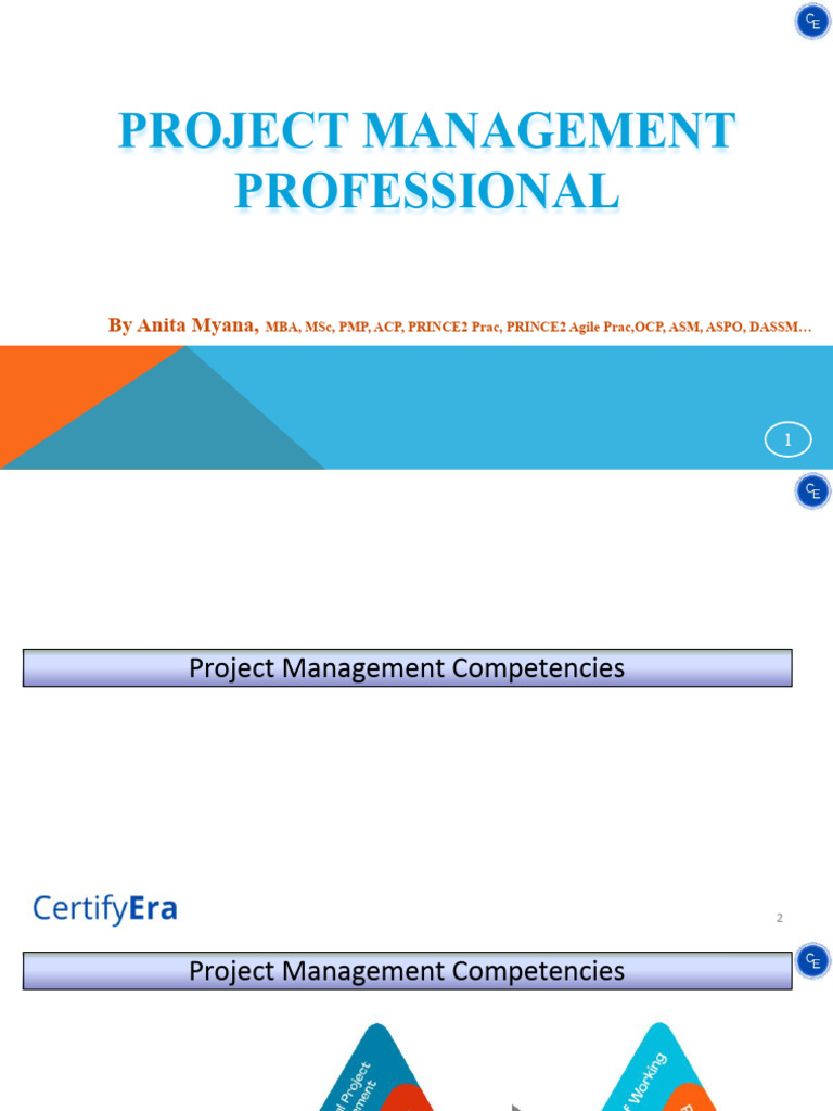 Section - Project Management Competencies | PDF