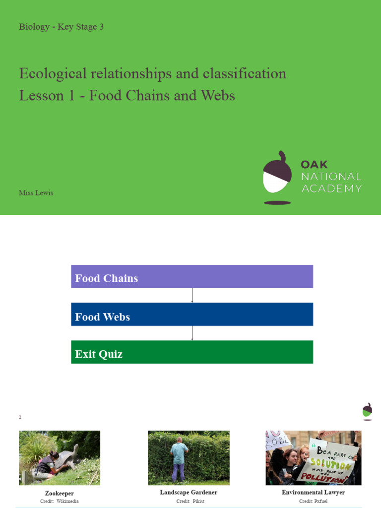 Food Chains and Webs 64uk4e Presentation Studentsf | PDF | Foods ...