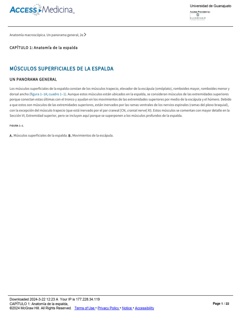 CAPÍTULO 1 - Anatomía de La Espalda | PDF | Médula espinal | La columna ...