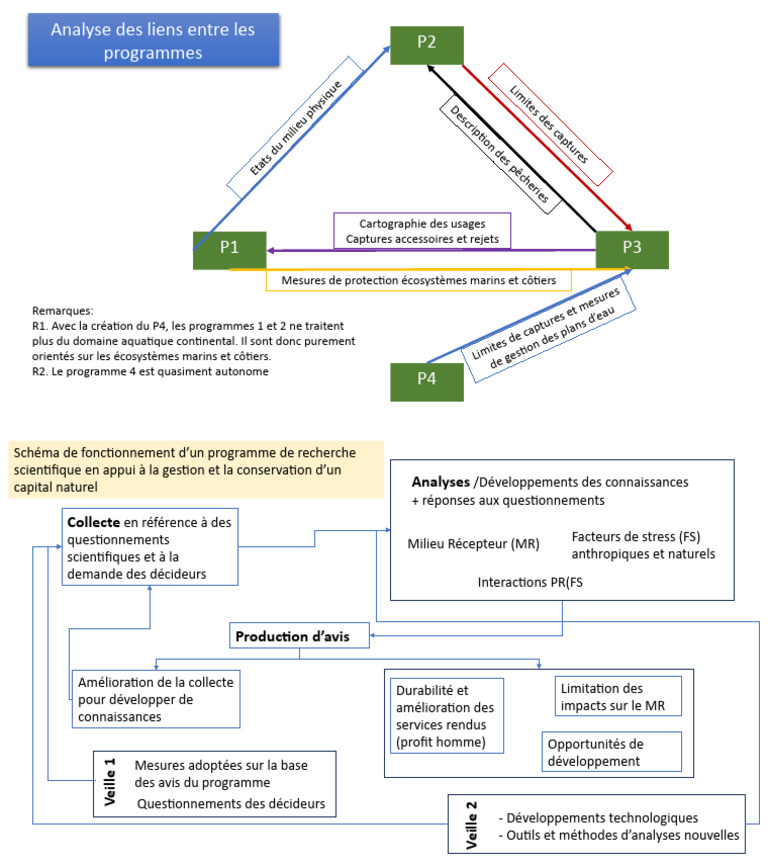 Analyse Des Liens Et Fonctionnement Des Programmes | PDF | Sciences environnementales et ...
