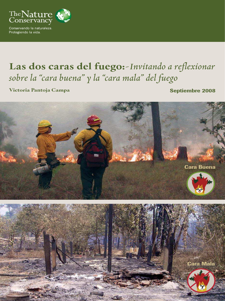 Las Dos Caras Del Fuego | PDF | Incendios | Fuego fatuo