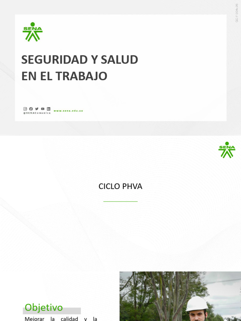 Analisis Del Sistema de SST - Tema 5 (Ciclo Phva) | PDF | Negocios