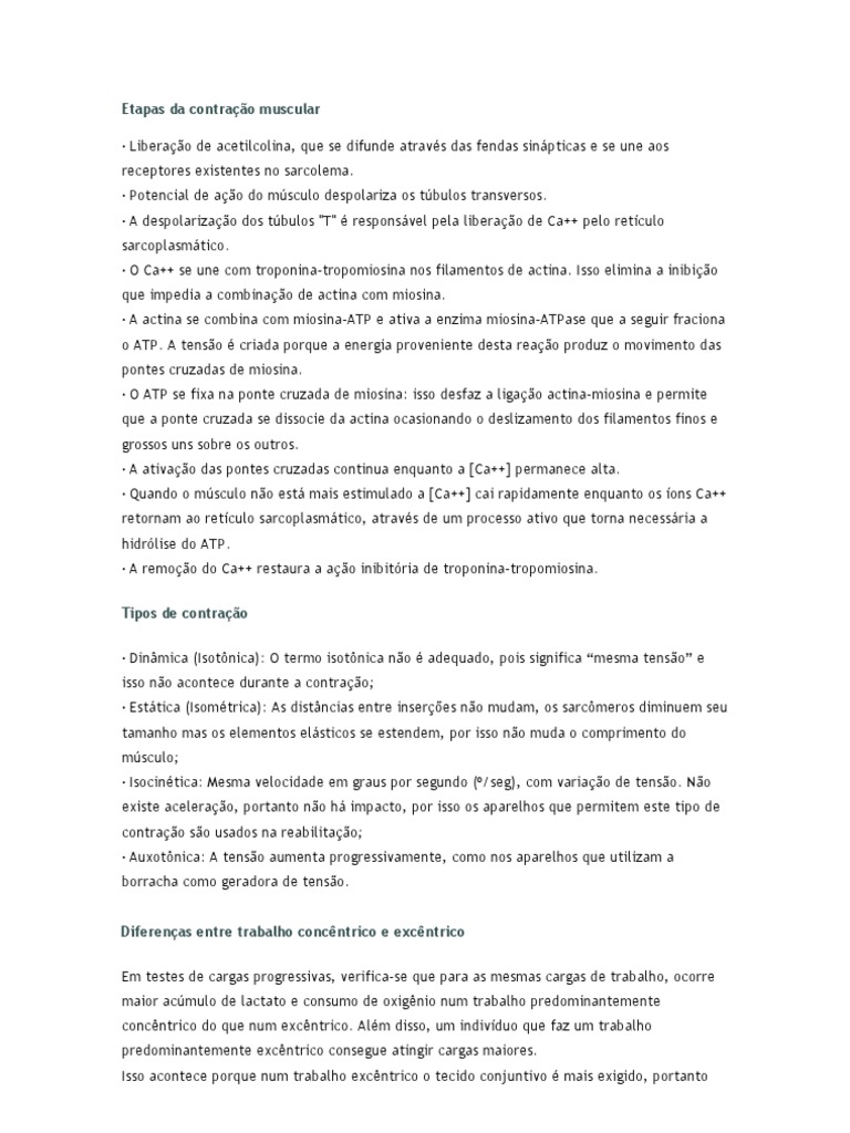 Etapas da Contração Muscular | PDF | Músculo | Anatomia