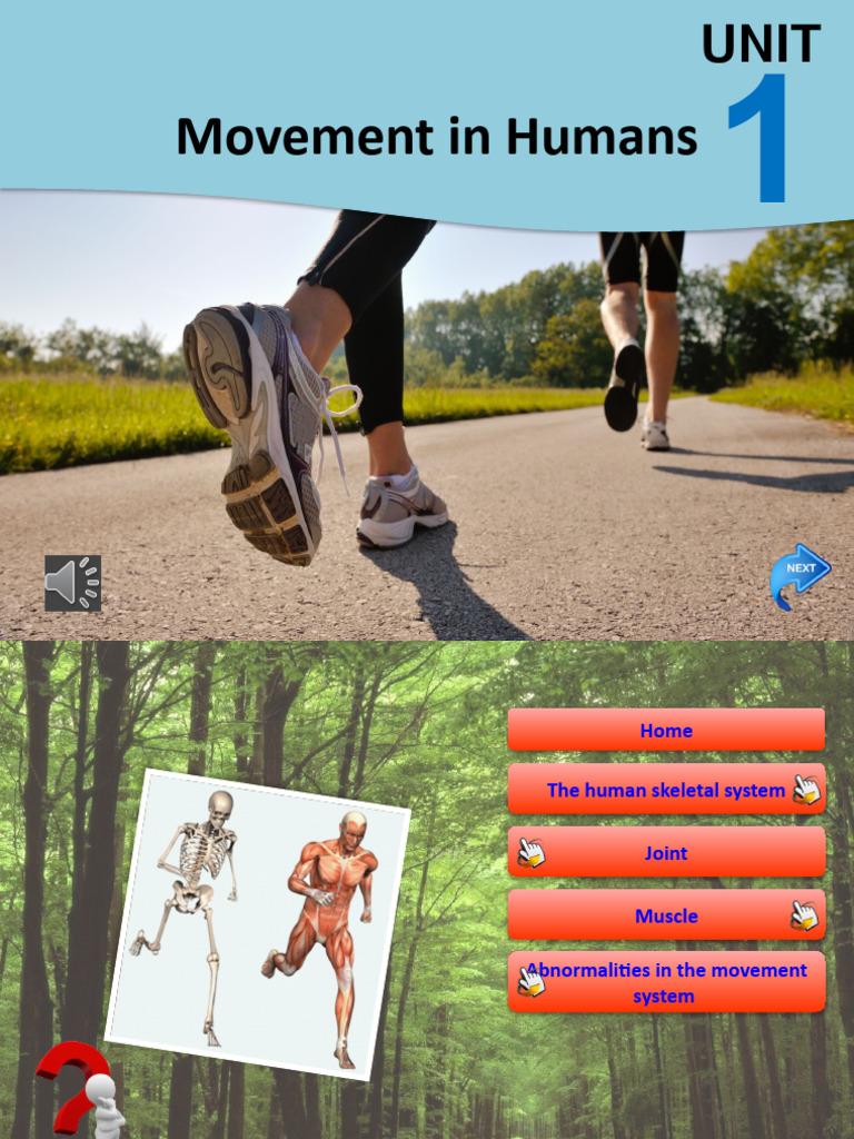 Movement in Humans | PDF | Skeleton | Bone