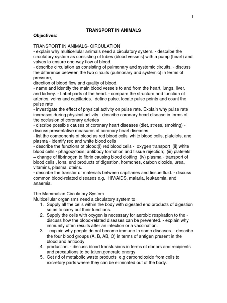 Edited 572transport in Animals-1 | PDF | Artery | Vein