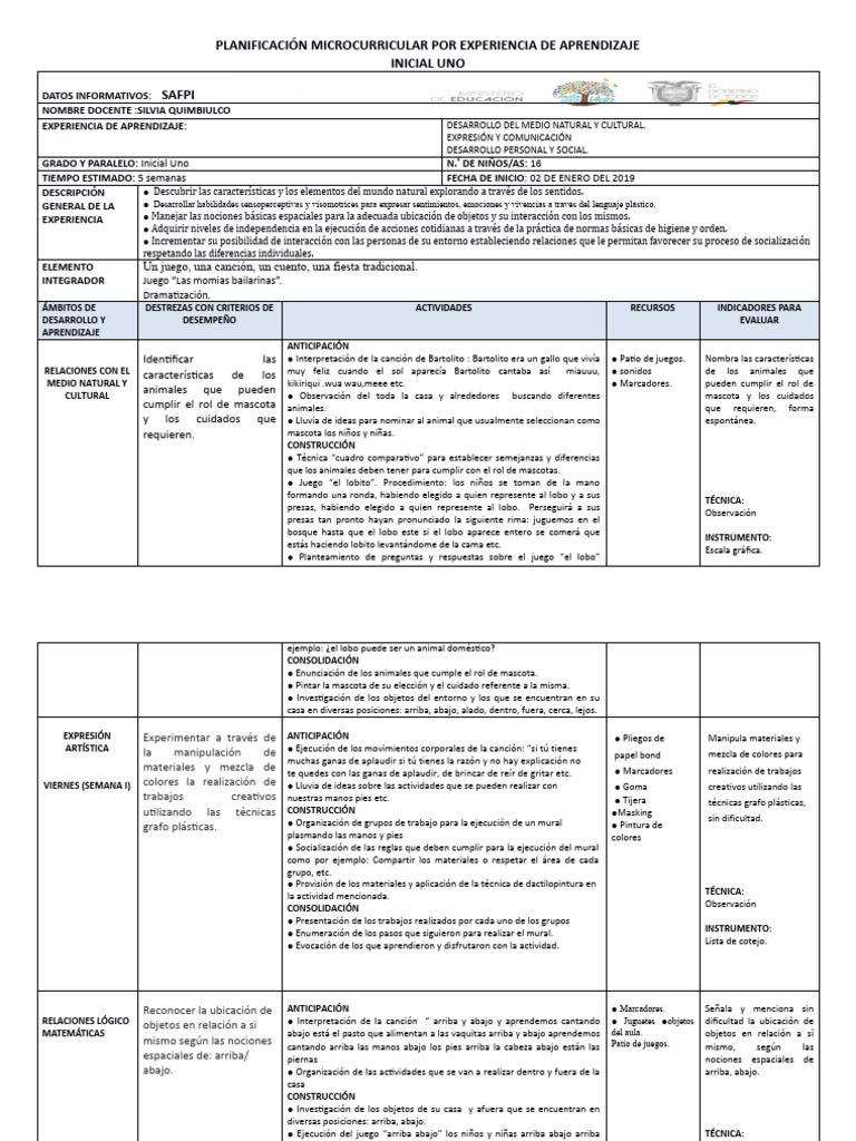 Planificacion Mes de Enero 2020 | PDF | Aprendizaje | Dibujo