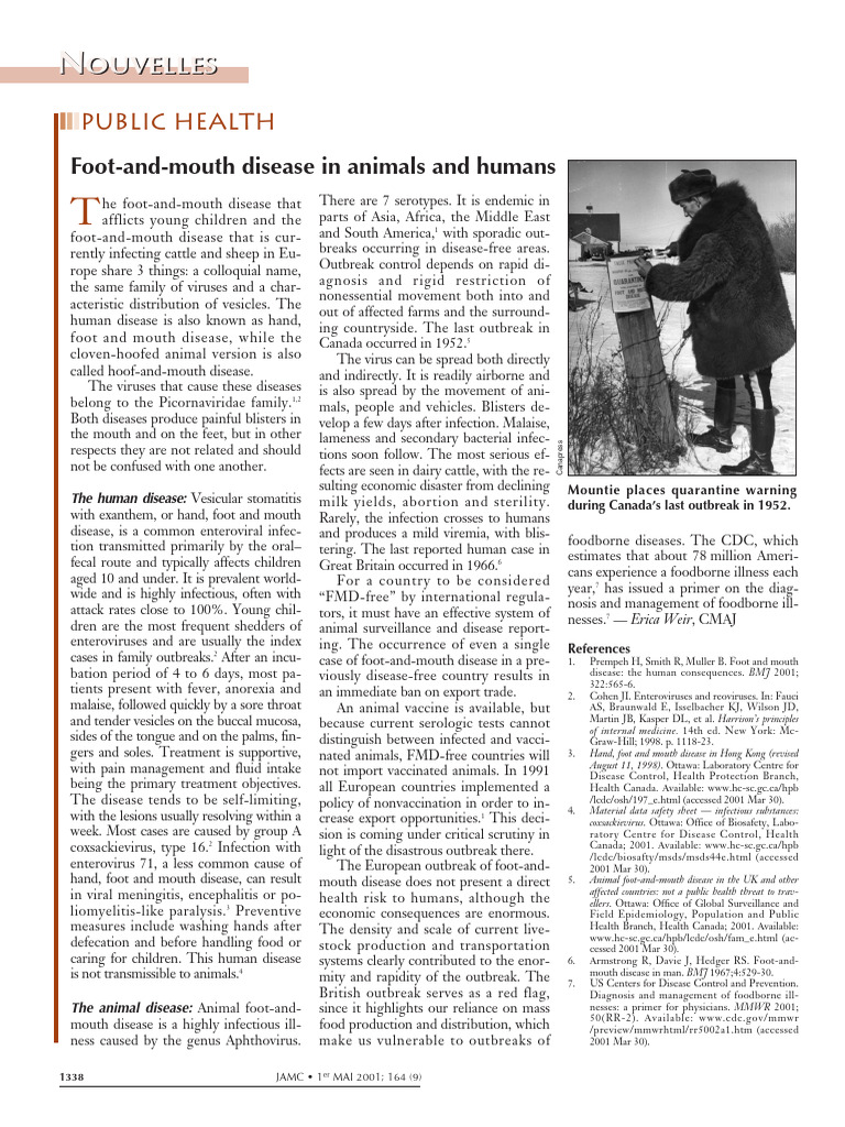 Foot-And-Mouth Disease in Animals and Humans | PDF | Microbiology ...