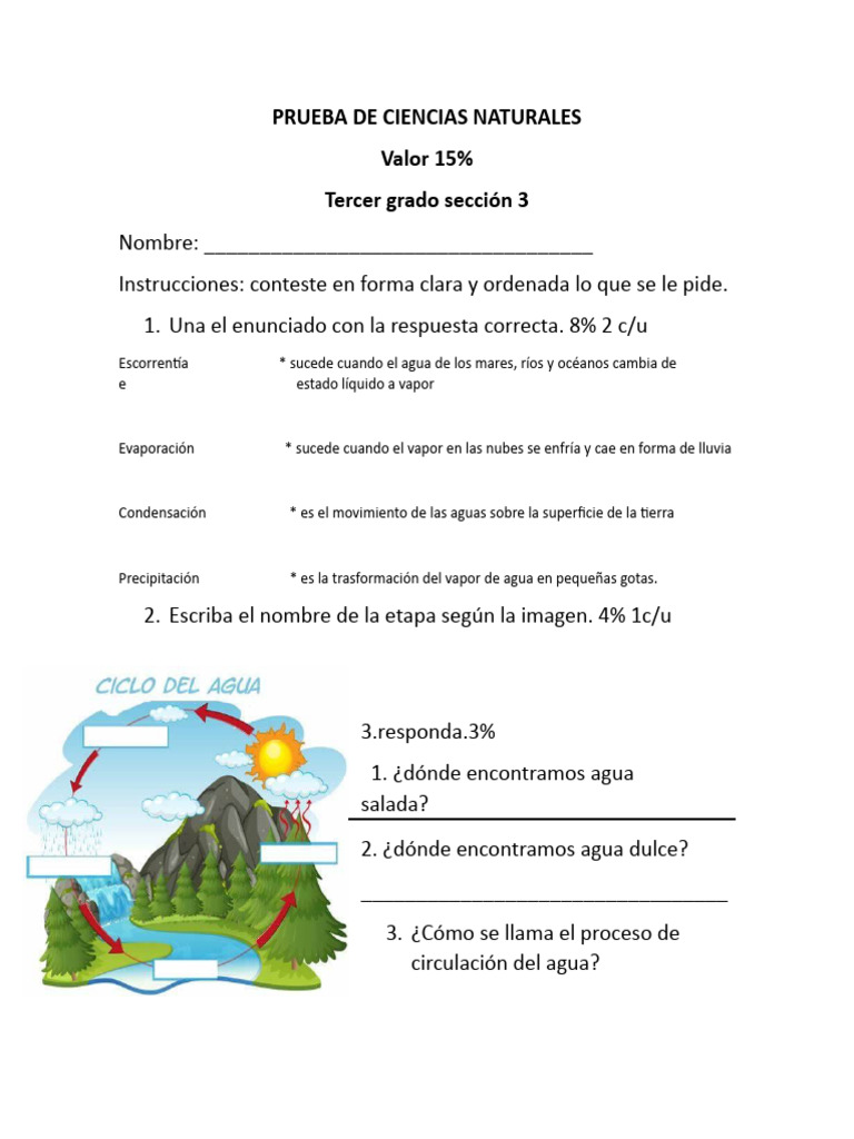 Prueba de Ciencias Naturales | PDF