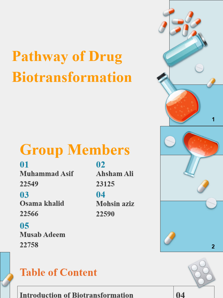 Pathway of Drug Biotransformation (Finalized) | PDF | Drug Metabolism ...