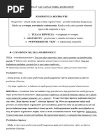 Jak Napisać Rozprawkę - Schemat + Przykładowa Rozprawka (Cke) | PDF