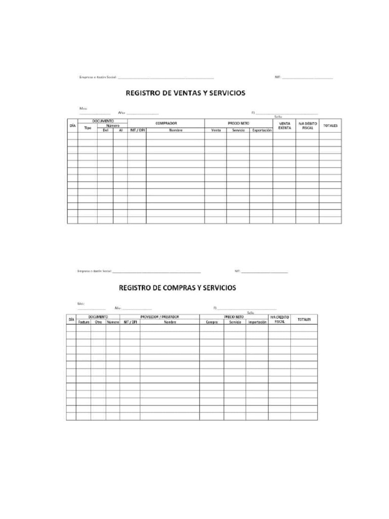 Formato de Ventas y Compras20 | PDF