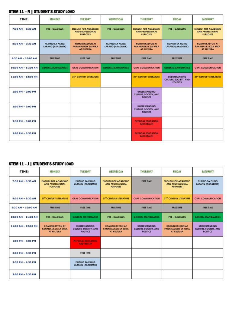 STEM 11 Student Study Load Overview | PDF
