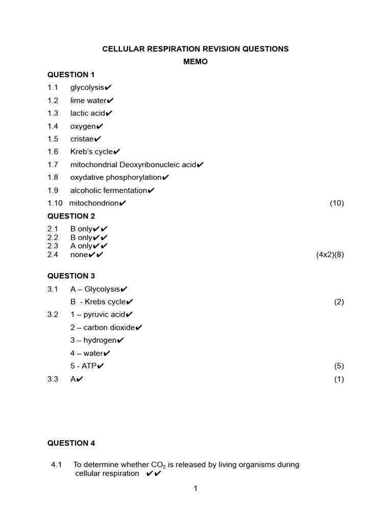 Cell Resp Revision Questions - Memo 2024 | PDF | Cellular Respiration | Biochemistry