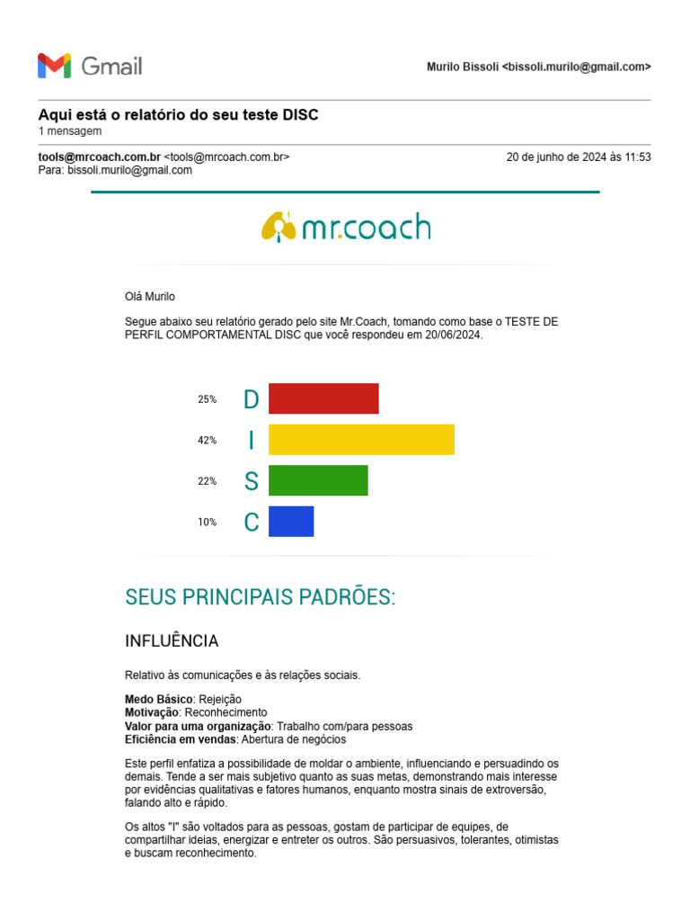 Relatório Do Teste DISC (Murilo Bissoli) | PDF | Motivação | Motivacional