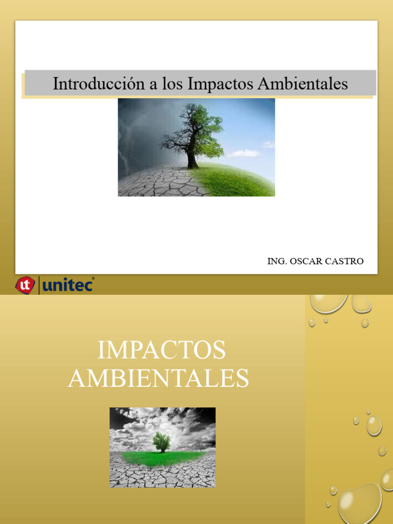 Impactos Ambientales y Soluciones | PDF | Evaluación de impacto ...