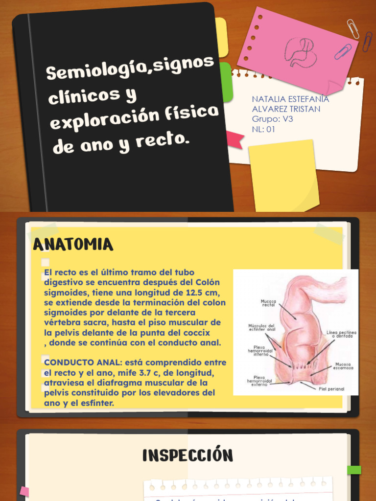 Copia de ANO Y RECTO | PDF | Recto | Pelvis