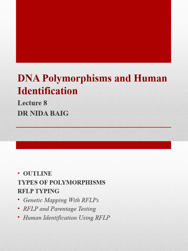 DNA Polymorphisms and Human Identification | PDF | Microsatellite ...