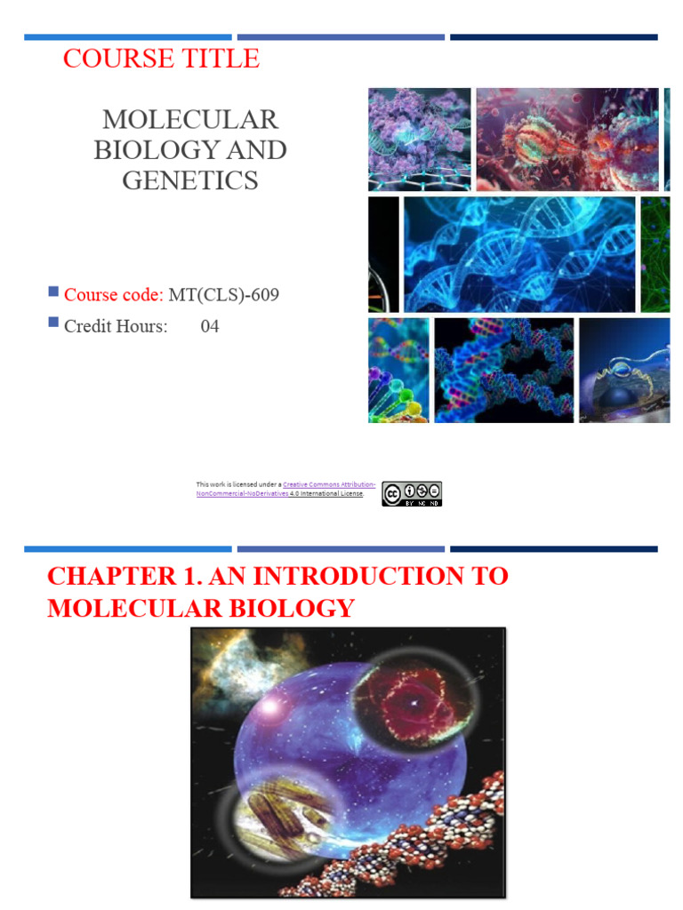 Lecture 2. An Introduction To Molecular Biology | PDF | Genetics | Life ...