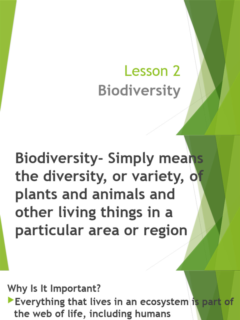 Biodiversity Final | PDF | Mollusca | Invertebrate