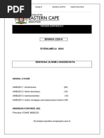 IsiZulu HL P2 Lwezi IBANGA 10 FINAL | PDF | Southern Africa | Zulu Kingdom
