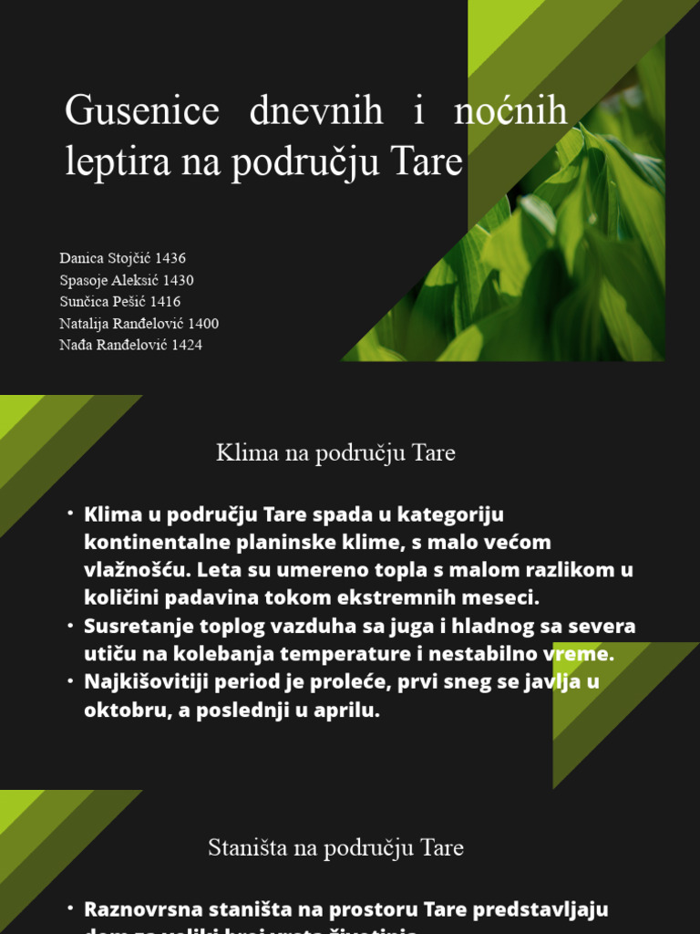 Gusenice Dnevnih I Noćnih Leptira Na Području Tare | PDF