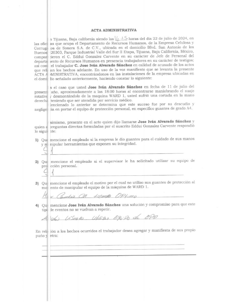 Document | PDF
