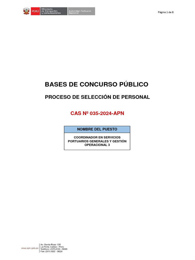 Bases Proceso 2024 035 Apn | PDF