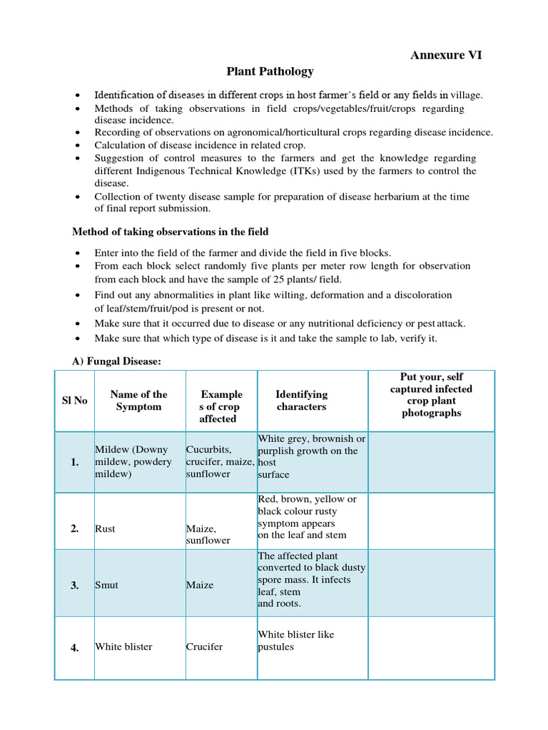 6 Pathology | PDF | Plants | Botany