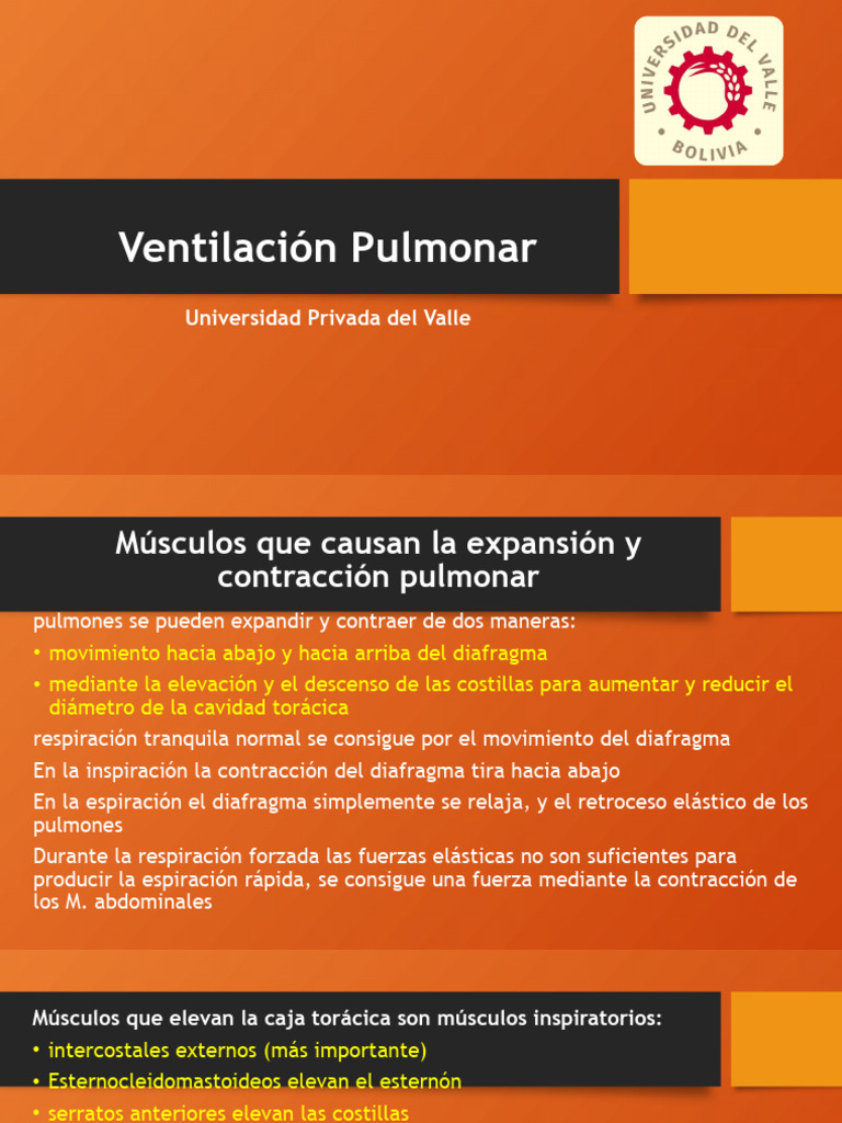 Ventilación Pulmonar | PDF | Pulmón | Respiración