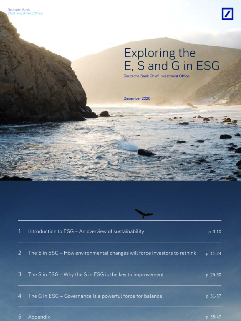 CIO Special ESG Exploring The E S and G in ESG | PDF | Kyoto Protocol ...