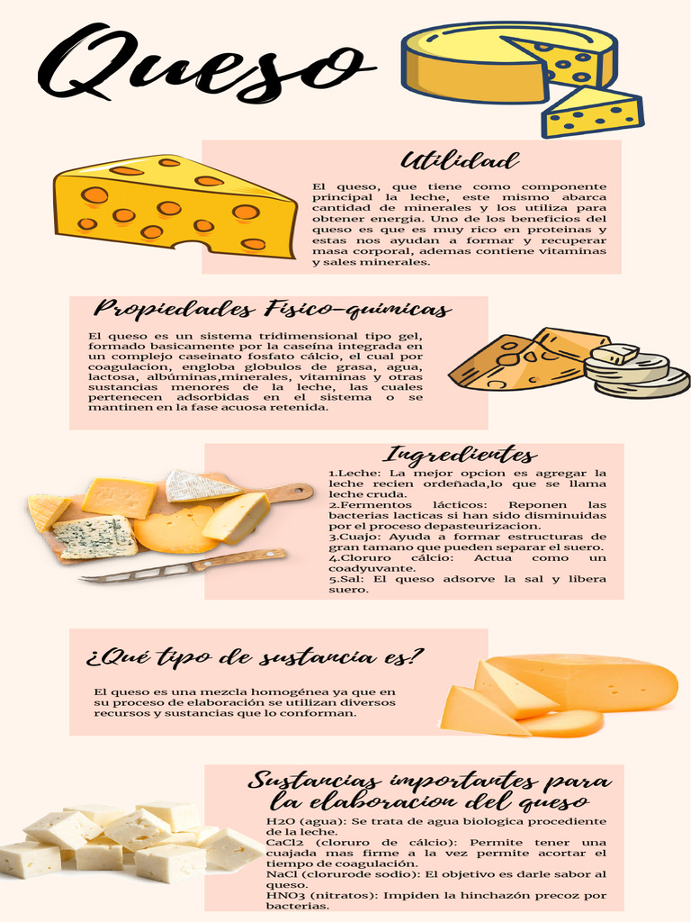 Infografia de Productos Caseros (Queso) | PDF | Leche | Queso