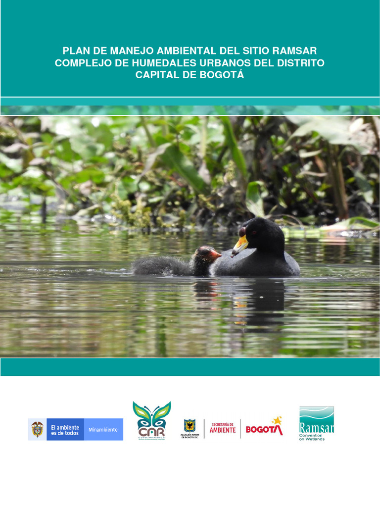 PM Humedal Ramsar | PDF | Humedal | Biodiversidad