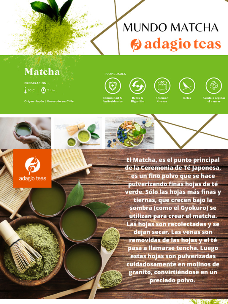 Catálogo Mundo Matcha | PDF | Té | Té verde