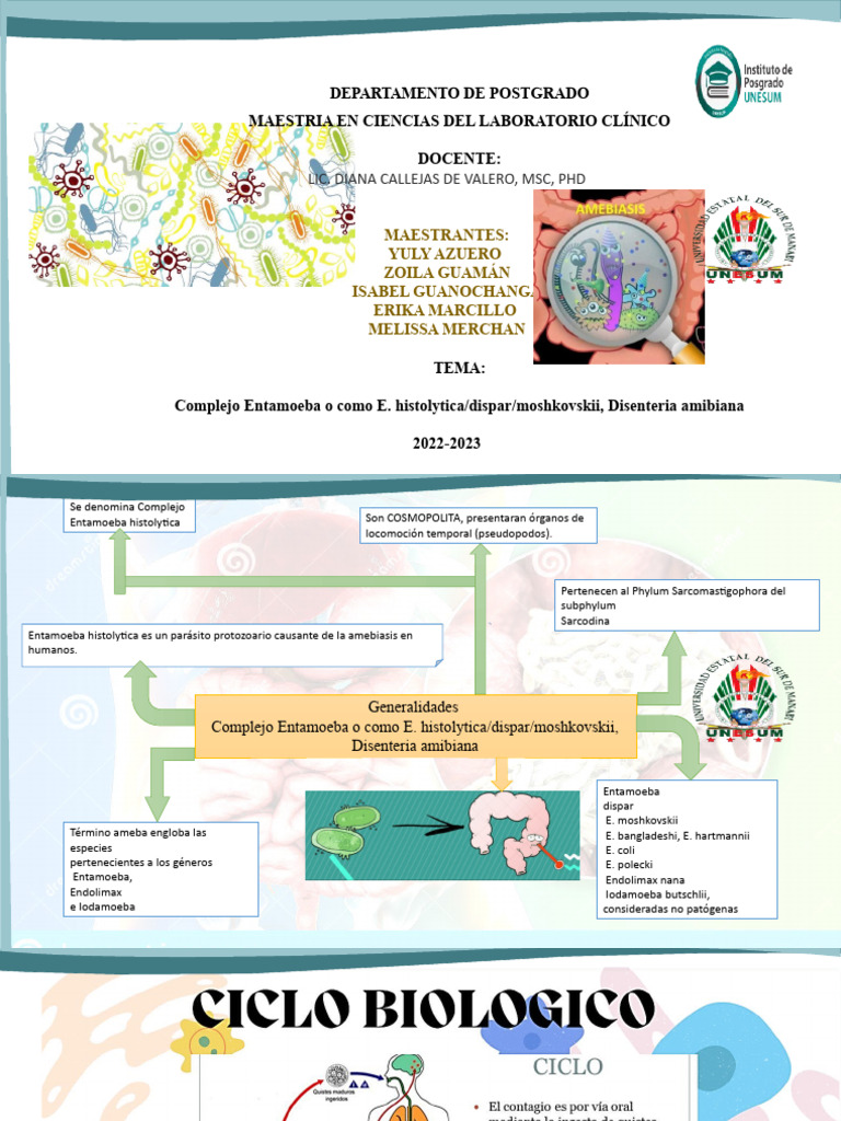 Amebiasis | PDF | Enfermedades y trastornos | Especialidades Medicas