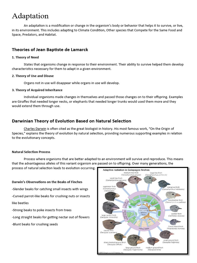Science Adaptation Study Guide | PDF | Natural Selection | Evolution