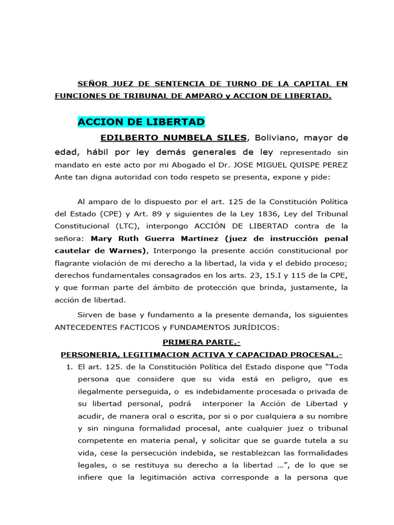 Accion de Libertad Numbela | PDF | Debido al proceso | Justicia