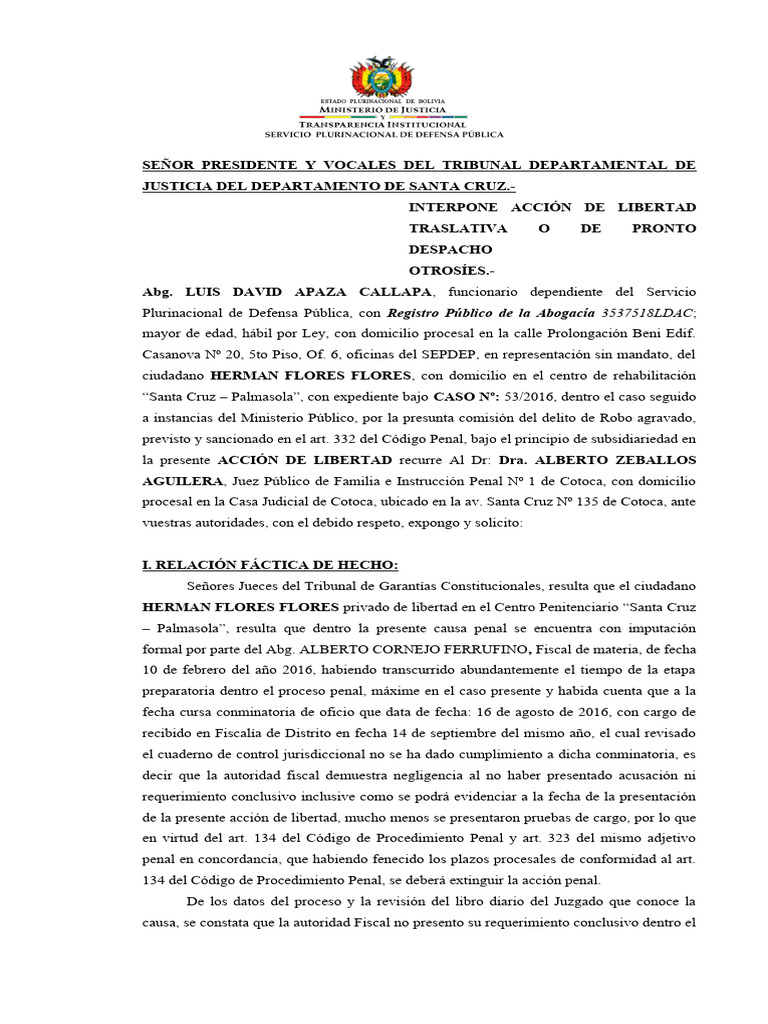 Accion de Libertad Herman Flores Flores | PDF | Debido al proceso ...
