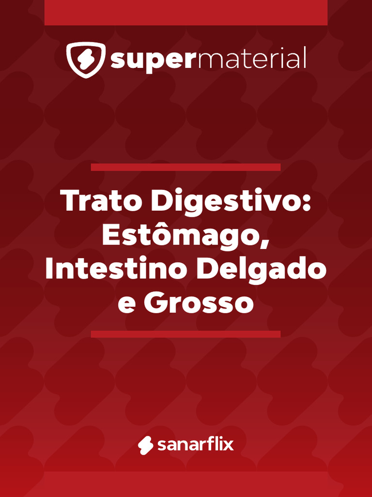 Resumo Super Material Trato Digestivo Estomago Intestino Delgado e ...