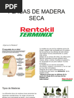 MX - Ficha Técnica - Termidor® Duo | PDF | Hexapoda | Insectos y humanos
