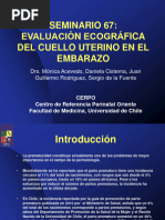 Guía de Cervicometría FECOPEN | PDF | Parto prematuro | Parto