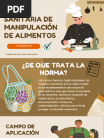 Normas AIB para Seguridad Alimentaria | PDF | Alimentos | Residuos