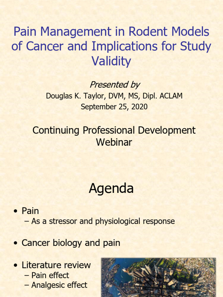 DT Pain Management Rodent Cancer Models | PDF | Pain | Pain Management