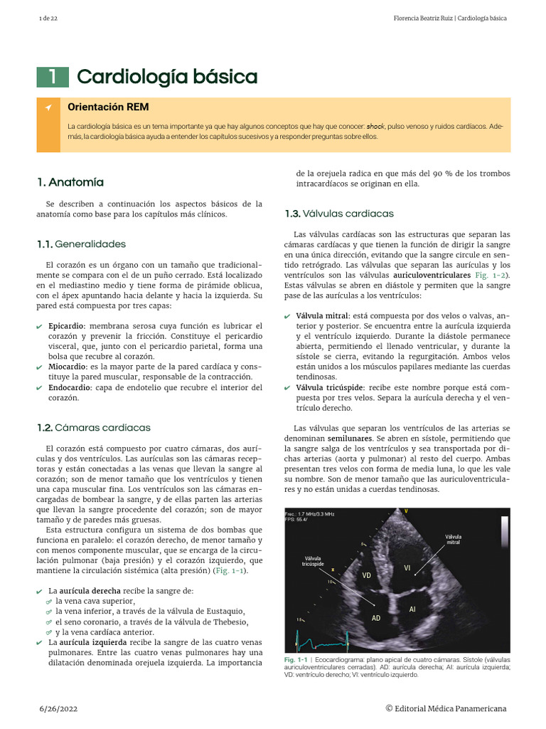Cardiologia | PDF | Corazón | Ventrículo (corazón)