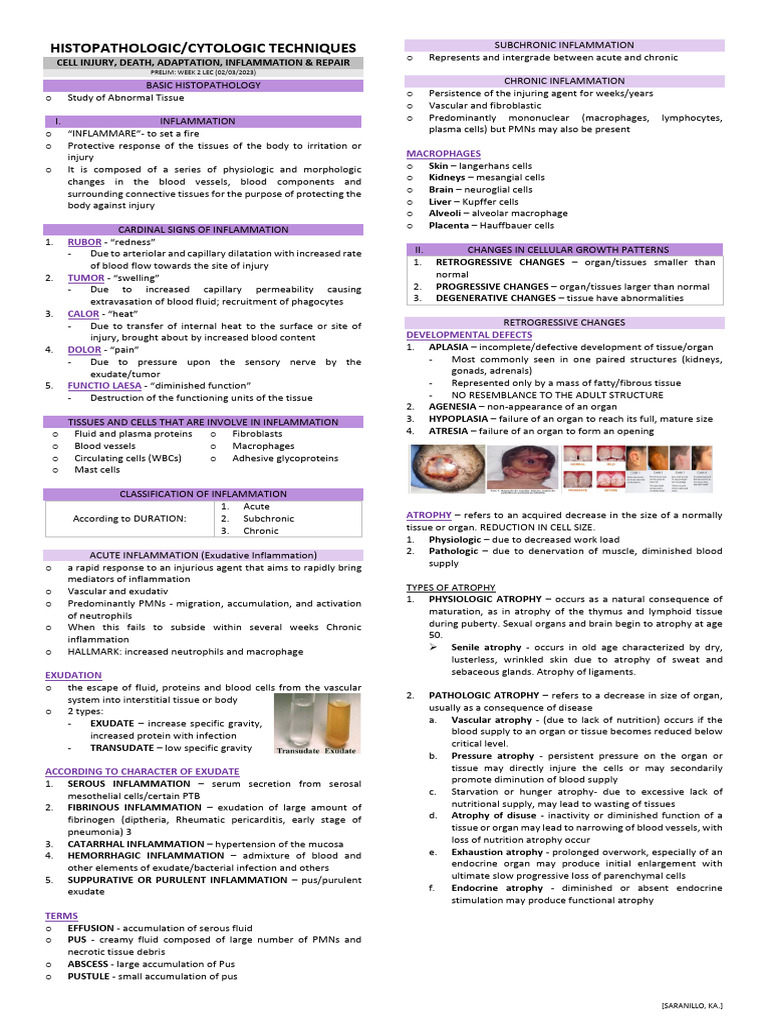 HPCT Lec Week 2 - Cell Injury, Death, Adaptation, Inflammation - Repair ...