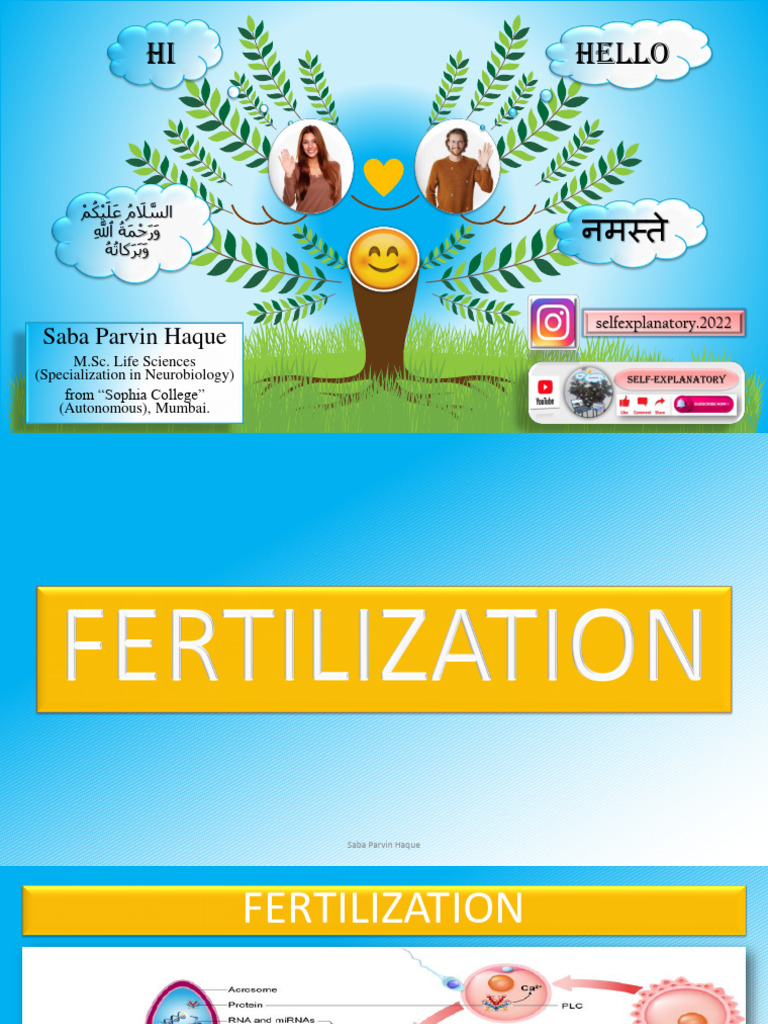 Fertilization Process in Human (Internal Fertilization) | PDF ...