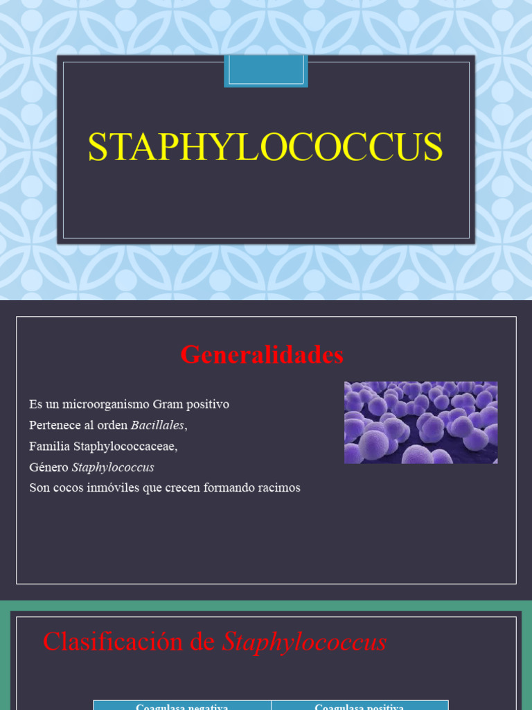 Staphylococcus | PDF | Staphylococcus Aureus | Estafilococo