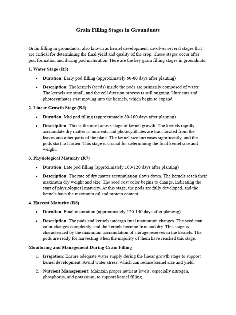 Grain Filling Stages in Groundnuts | PDF | Seed | Legume