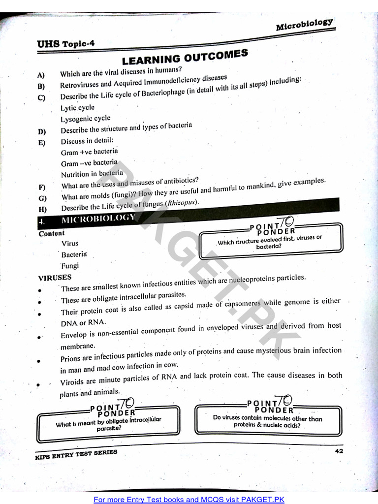 KIPS Notes For Kingdoms | PDF